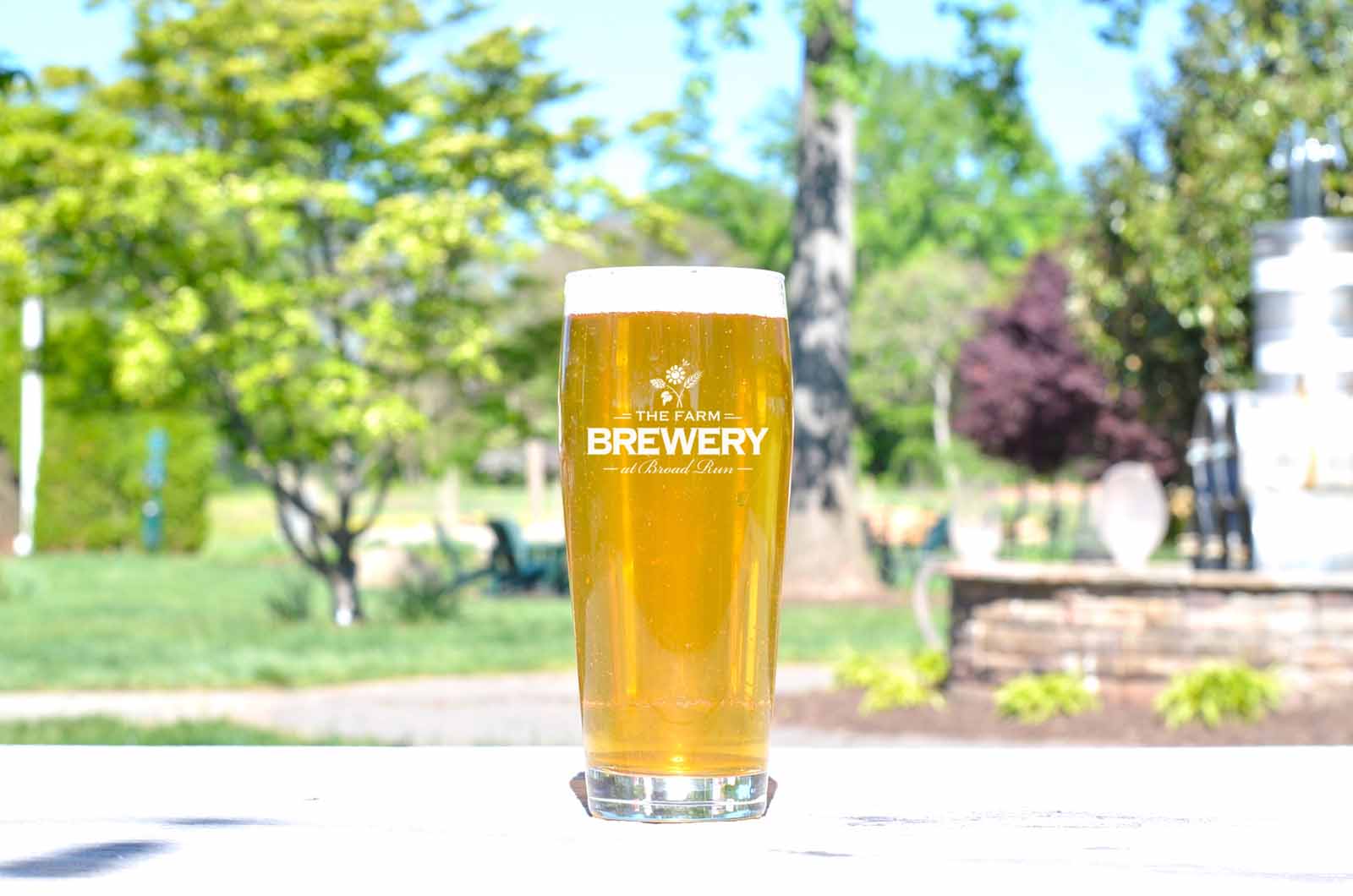 The Farm Brewery at Broad Run